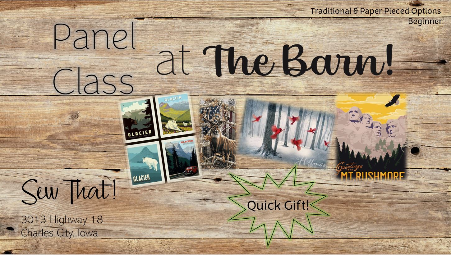 Panel Class - Beginner - October 28 | Sew That!